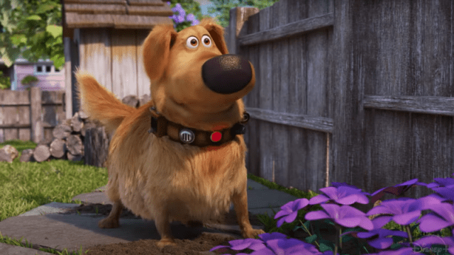A Vida de Dug | Série ganha trailer – NãoSeiNada